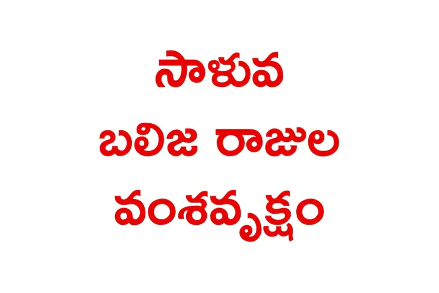 Saluva Balija Kings Clan - Kapu Community